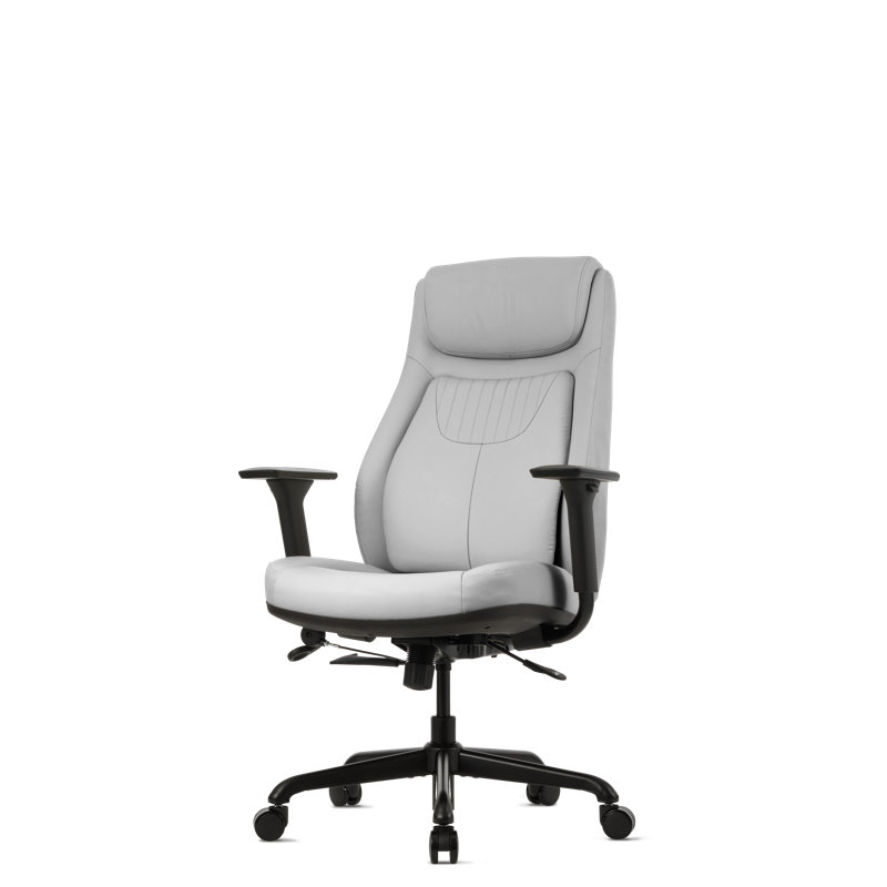 Ergonomic office chair wayfair store